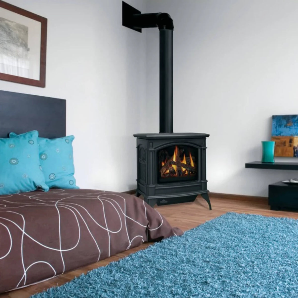 Napoleon Knightsbridge™ Direct Vent Gas Stove GDS60 — Fireside Living