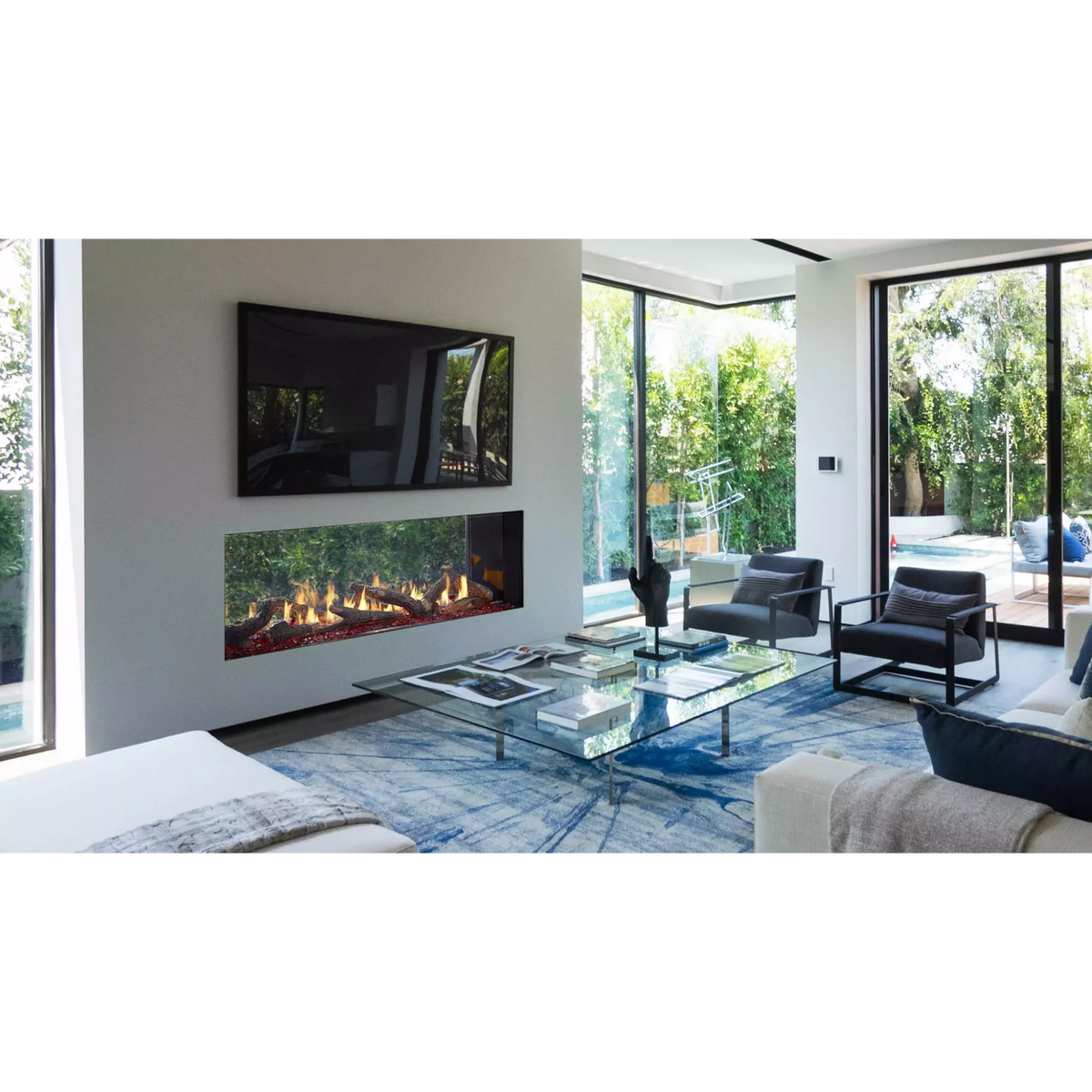 Heat & Glo Primo II 60" Double-Sided See-Through Gas Fireplace PRIMO-I ...